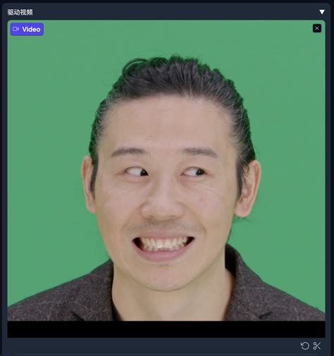 Liveportrait优化版，表情迁移，数字人，视频驱动视频v2v（win，mac）liveportrait V2 Csdn博客