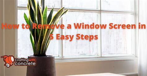 Remove Window Screens 5 Simple DIY Steps Craftingwithconcrete Com
