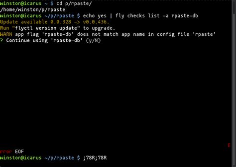 flyctl launch with piped or closed stdin errors and leaves terminal in bad state · issue 1497