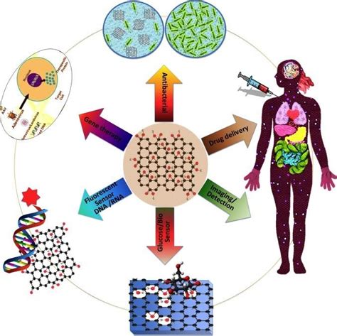 Novel Multifunctional Applications Of Go In Different Biomedical Download Scientific Diagram