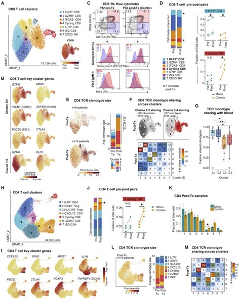 Tissue Resident Memory And Circulating T Cells Are Early Responders To