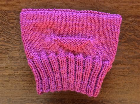 Pussyhat Pussyhat Where Are You Indivisible East Bay