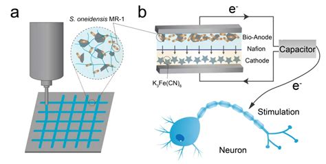 先进集成技术研究所