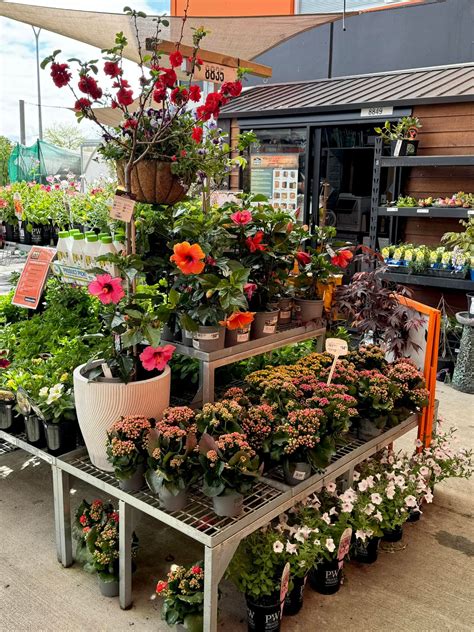 Mitre 10 Motueka Port Motueka