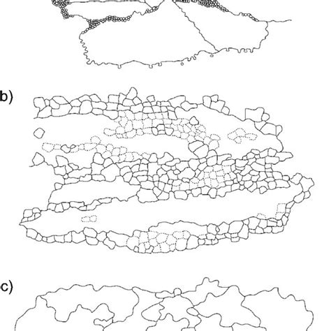 Characteristic Microstructures Of The Three Dynamic Recrystallization