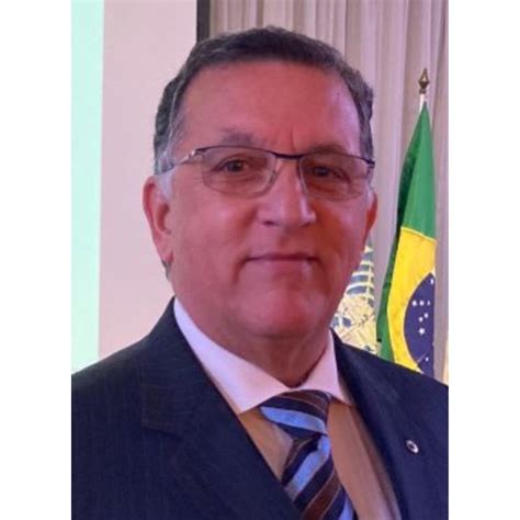 A Exemplo Da Andorinha Semanário Zn