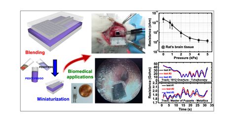 Miniaturized Flexible Piezoresistive Pressure Sensors Poly 3 4 Ethylenedioxythiophene Poly