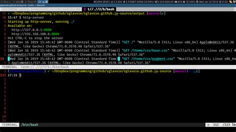 using embedded terminals inside neovim