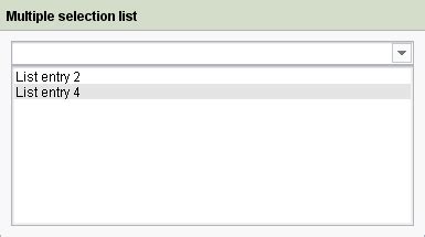 Documentation FirstSpirit SiteArchitect Multiple Selection List CMS