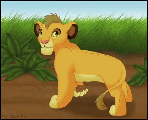 Pictures The Lion King Videos