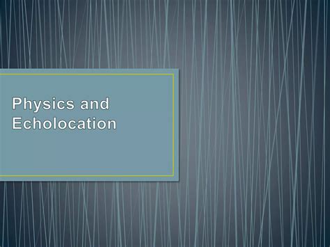 Physics And Echolocation PPTX