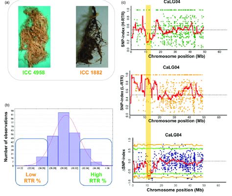 Qtl Seq Approach Adopted For Mapping Genomic Regions Responsible For Download Scientific
