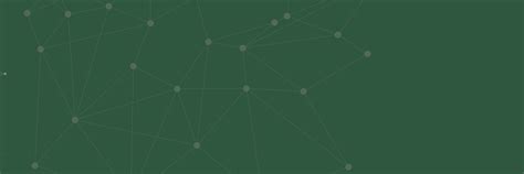 Products · Introspective Systems Introspective Systems