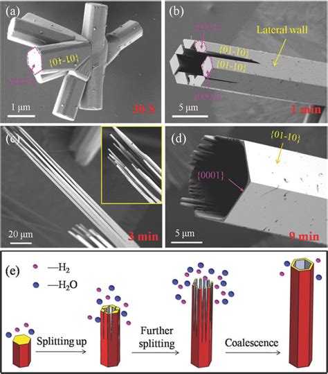 Time Dependent Evolution Of The Zno Crystal Microstructure At Different Download Scientific