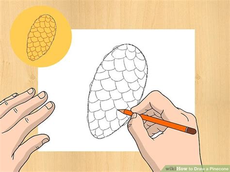 How To Draw A Pinecone Steps With Pictures WikiHow