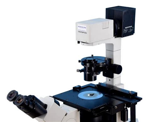 Olympus Ix70 Inverted Phase Contrast Microscope Microscope Central
