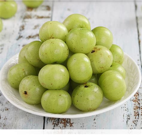 鲜甘郡 1斤新鲜余甘油甘果青滇橄榄孕妇酸水果牛甘果余甘子油柑子 锟斤拷猫