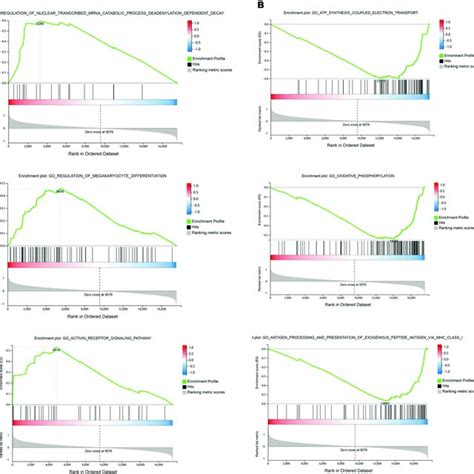 Ns Loading Test In Salt Sensitive Hypertension Ssh And Salt Resistant