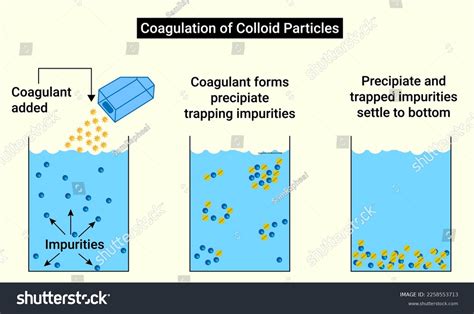 Coagulation Colloid Particles Stock Vector Royalty Free 2258553713 Shutterstock