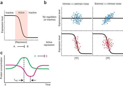Using Noise To Analyze The Activity Of Gene Regulatory Interactions A Download Scientific