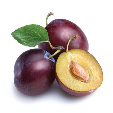 Pflaumenbaum - Prunus Domestica - "Jubileum"