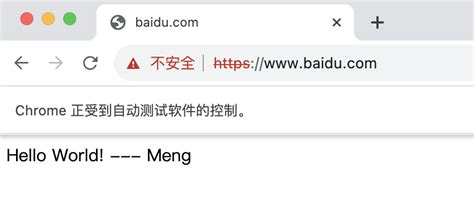 Selenium Wire 扩展 Selenium 能够检查浏览器发出的请求和响应 Csdn博客