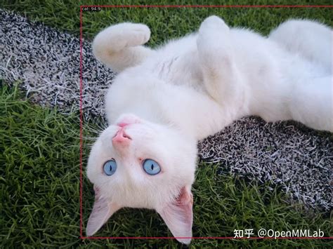 Mmyolo 自定义数据集从标注到部署保姆级教程 知乎