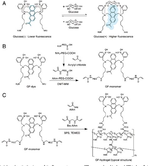Polyacrylamide Hydrogels Semantic Scholar