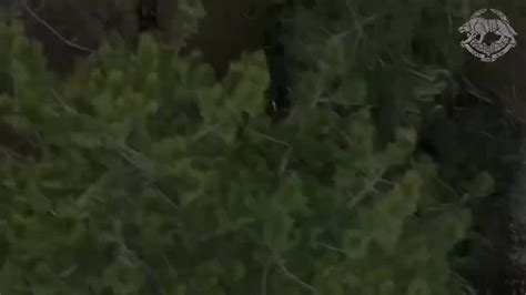 🔥 На південному напрямку воїни ССО спалили ворожу ЗРК «Стріла 10 і один плавучий транспортер