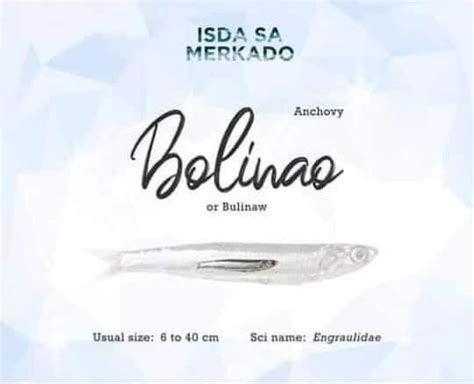 Ibat Ibang Klase Ng Isda At Iba Pang Laman Tubig Na Karaniwang Mabibili