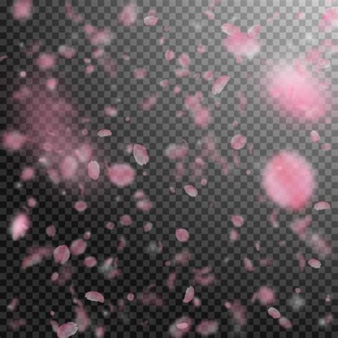 아래로 떨어지는 사쿠라 꽃잎 로맨틱 핑크 꽃 Premium Vector