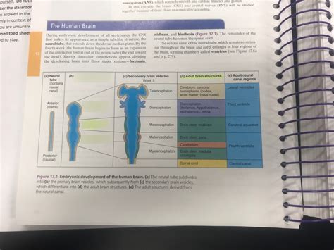 Lab Quiz 1 Part 2 Diagram Quizlet