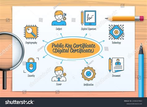 Vektor Stok Public Key Certificate Digital Certificate Chart Tanpa Royalti 2190107863