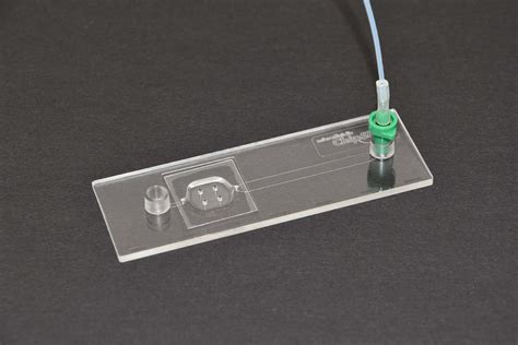 Waste Chamber Chip10000429