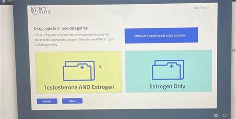 Solved Drag Objects In Two Categories This Is A Drag And