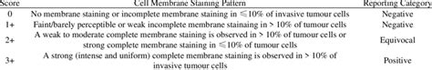 Recommended Her 2 Scoring Criteria For Ihc Stained Breast Cancer Tissue Download Scientific