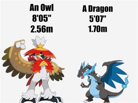 Poor Tiny Charizard… R Pokemonmemes