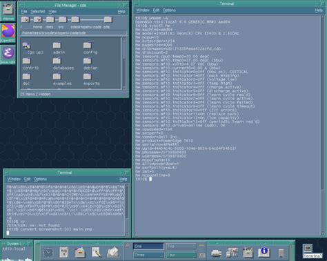 Cde Common Desktop Environment R Openbsd