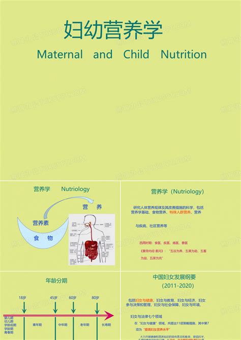 妇幼营养学：第章营养学基础完整版ppt模板下载编号lpdxzxmz熊猫办公