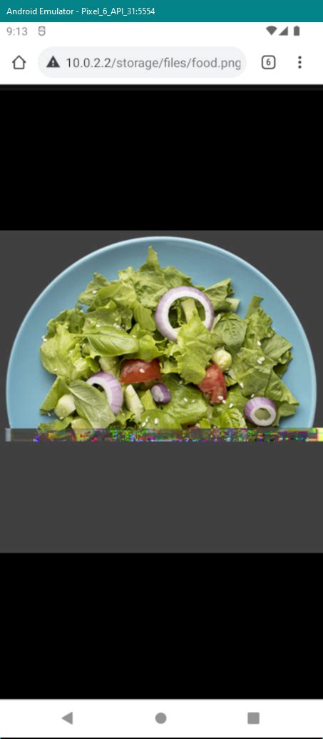 Flutter Incomplete Image Loading From Php Built In Server On Docker