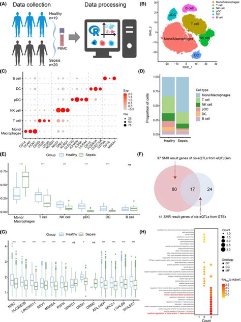 Summary Data‐based Mendelian Randomization And Single‐cell Rna Sequencing Analyses Identify