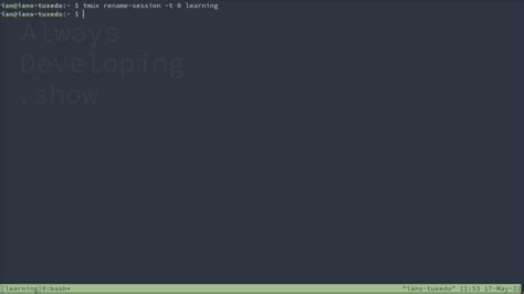 How To Use Tmux For Remote And Local Development Delicious Brains