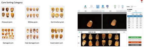China Ai Algorithm System Grain Quality Analyzer Ai Algorithm System Grain Quality Analyzer