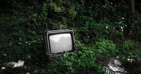 Demystifying Saps Pricing And Licensing Models