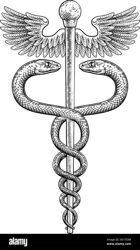 Dentistry Symbol Snake And Staff Staff With Two Snakes Hi Res Stock