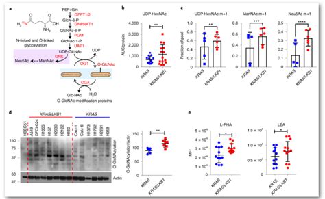Nature Metabolism 转录 代谢联合解析非小细胞肺癌代谢重编程机制