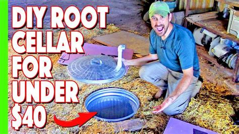 How To Build A Root Cellar Step By Step Instructions Blitsy