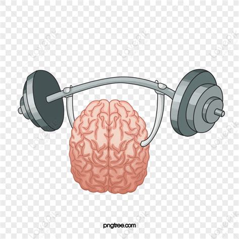 아령 운동 일러스트 대뇌광고하는건강만화 뇌 Png 일러스트 무료 다운로드 Lovepik
