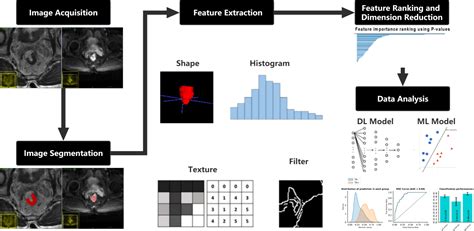 Frontiers Preoperative Prediction Of Tumor Deposits In Rectal Cancer With Clinical Magnetic