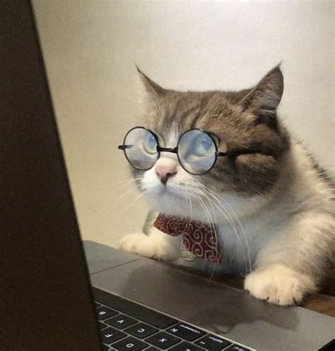 👨🏻💻spring에서 Mybatis와 Jpa 무엇을 써야 할까 👨🏻💻spring에서 Mybatis와 Jpa 무엇을 써야 할까